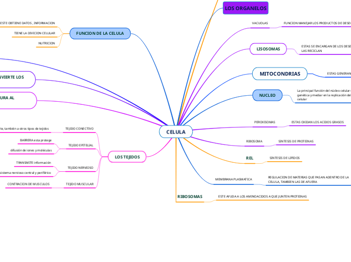 CELULA - Mind Map